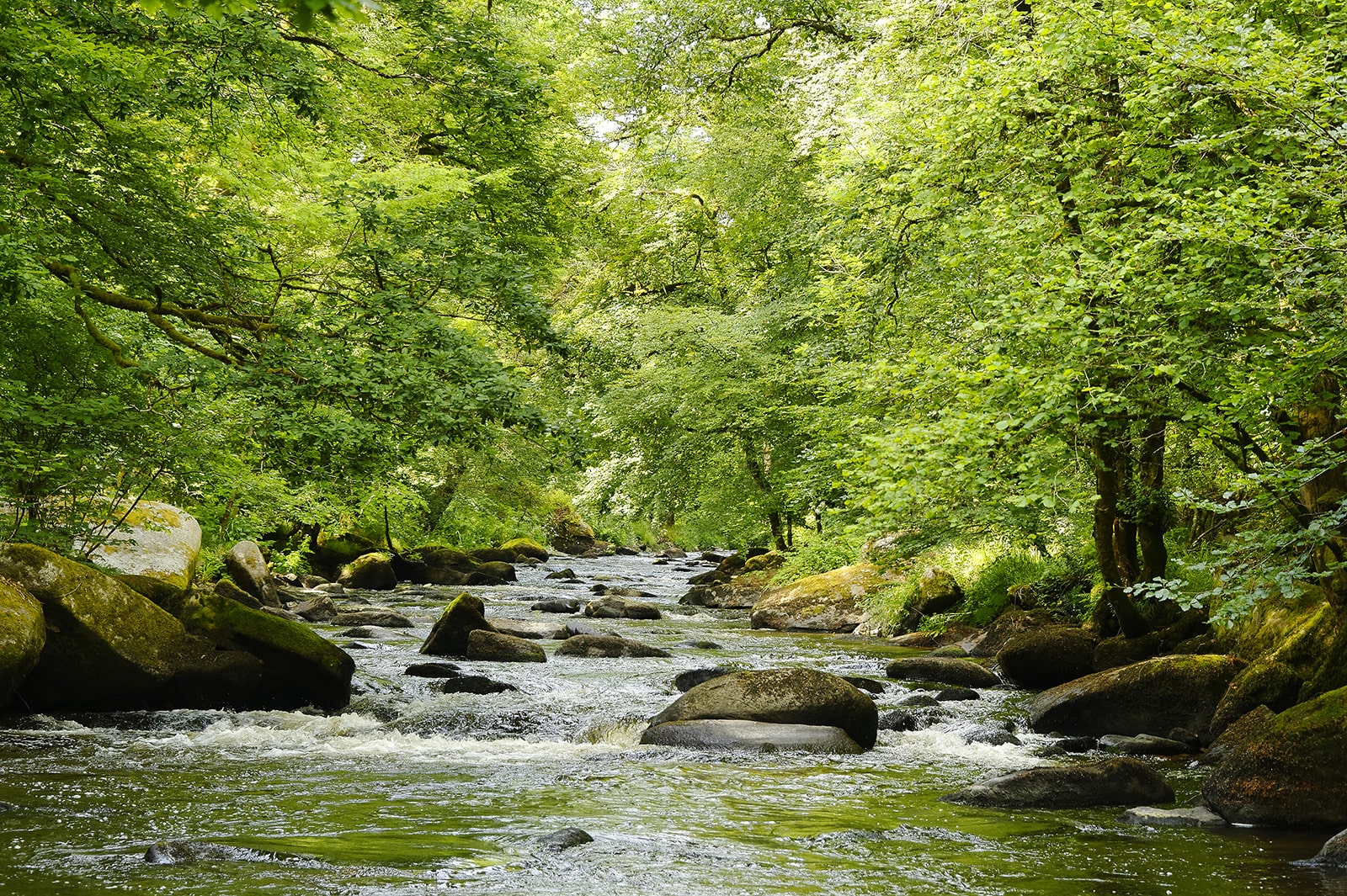 Nos filières • Guyader Gastronomie